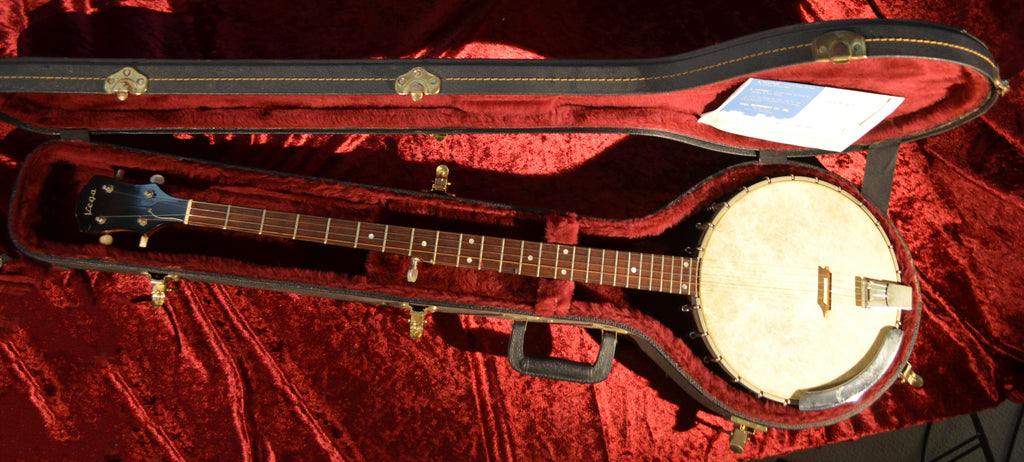 Vega 5-String Long Neck Banjo – Dan Alexander Audio